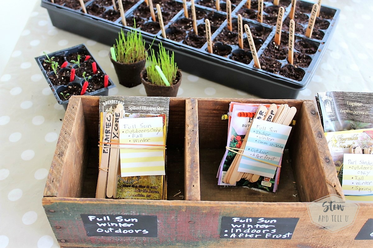 Start with a Seed (part 4): Organizing a Seed Planting Project