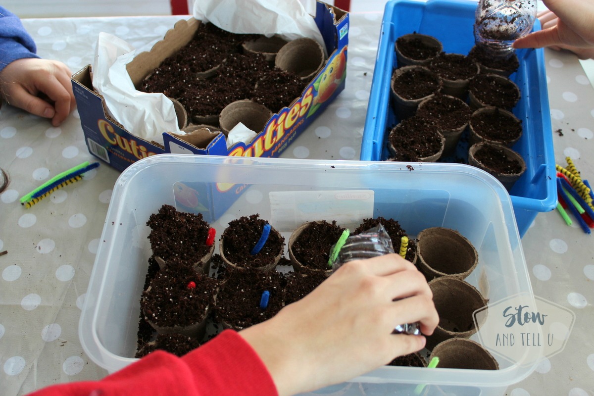 Start with a Seed (part 4): Organizing a Seed Planting Project