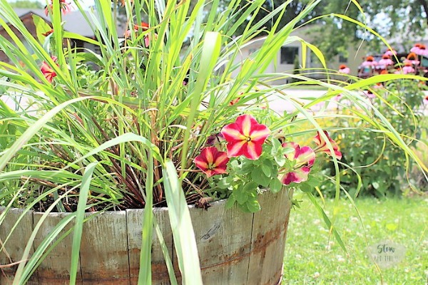 Container Gardening with Flowers and Herbs as Accent Plants